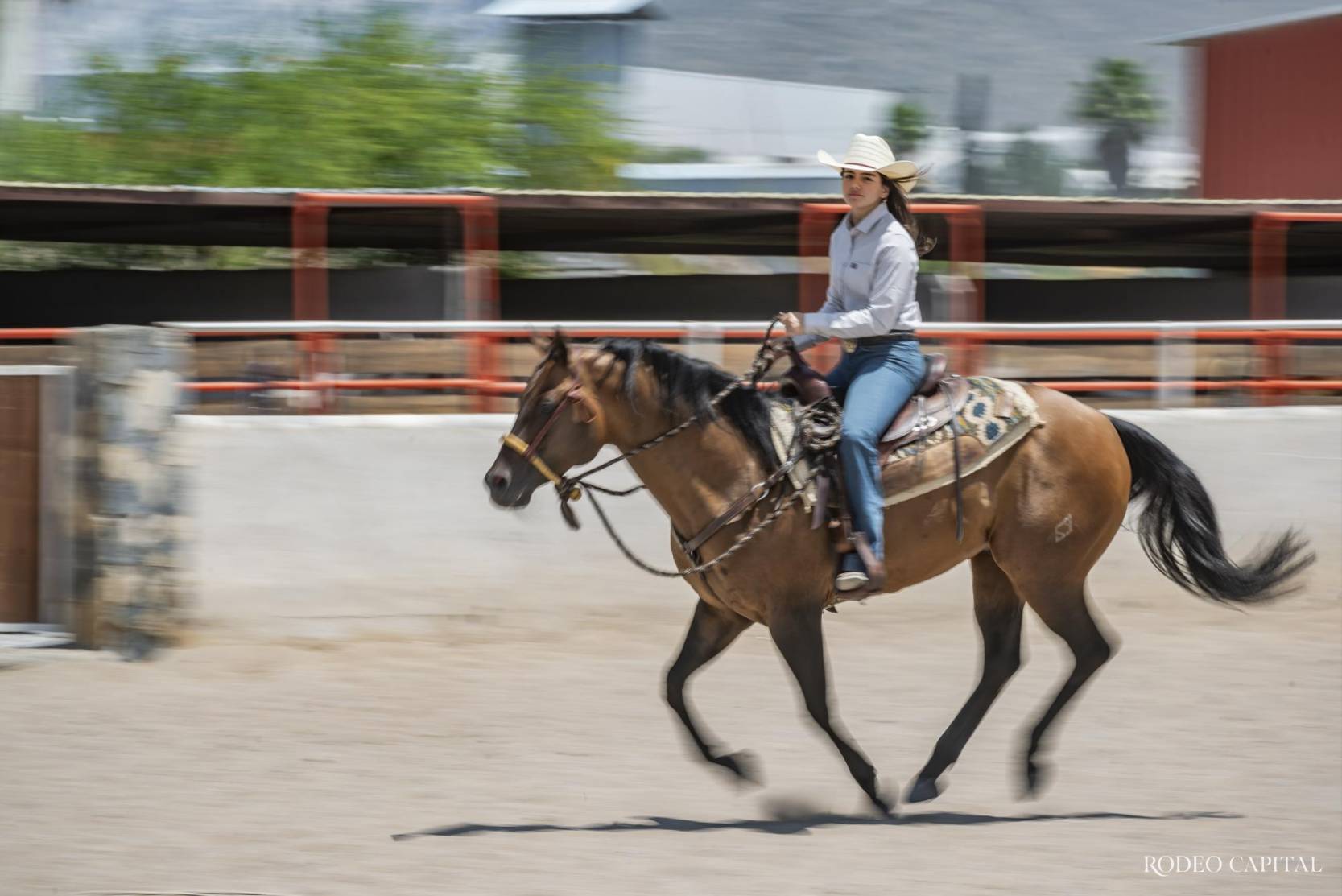 María Malibrán, la vaquera tiktoker que tomó las redes ‘por los cuernos’