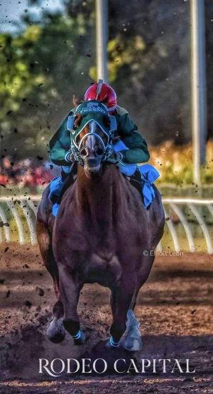 Muere ‘El Payaso’, el caballo de carreras más famoso de Culiacán