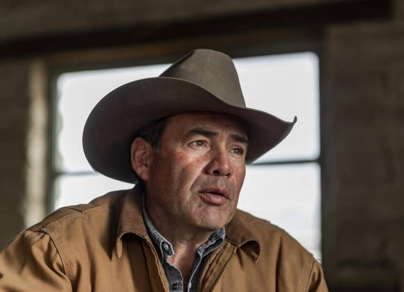 Caballos leyenda: Gunner, el legado de un campeón