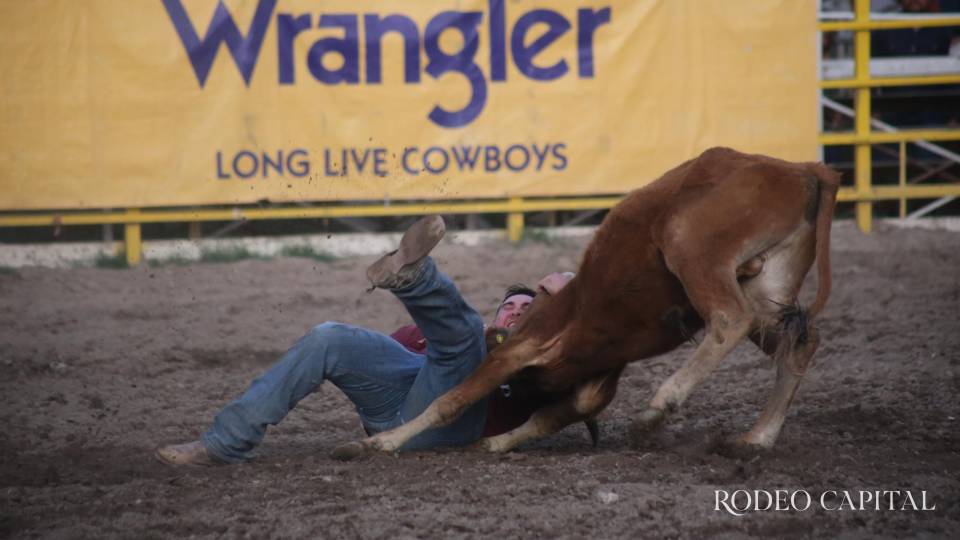 Las siete suertes del rodeo: todo lo que tienes que saber sobre ellas