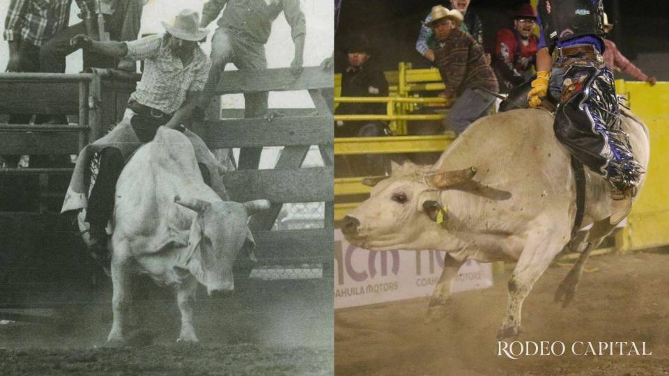 Origen del Rodeo: significado e historia en México